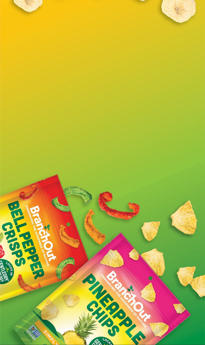 Dried Fruit & Veggie Snacks | No Sugar Added | BranchOut – BranchOut Food