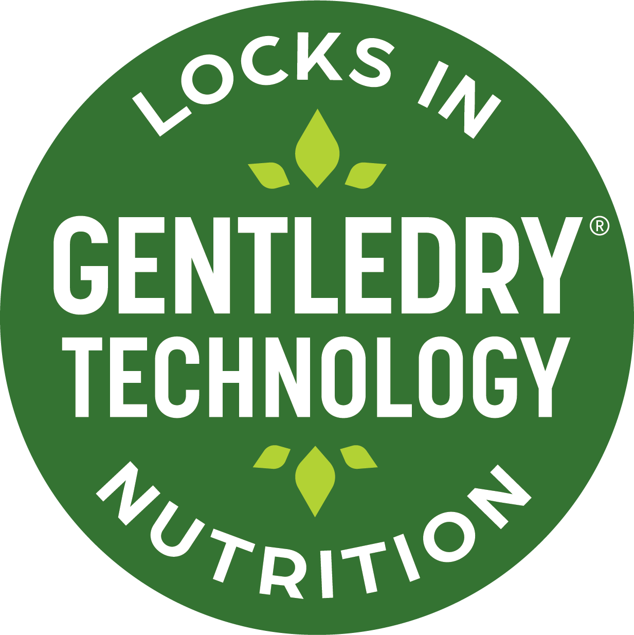 Dried Fruit & Veggie Snacks | No Sugar Added | BranchOut – BranchOut Food