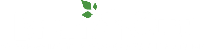 Bell Pepper Crisps – Crunchy Veggie Snack | BranchOut – BranchOut Food