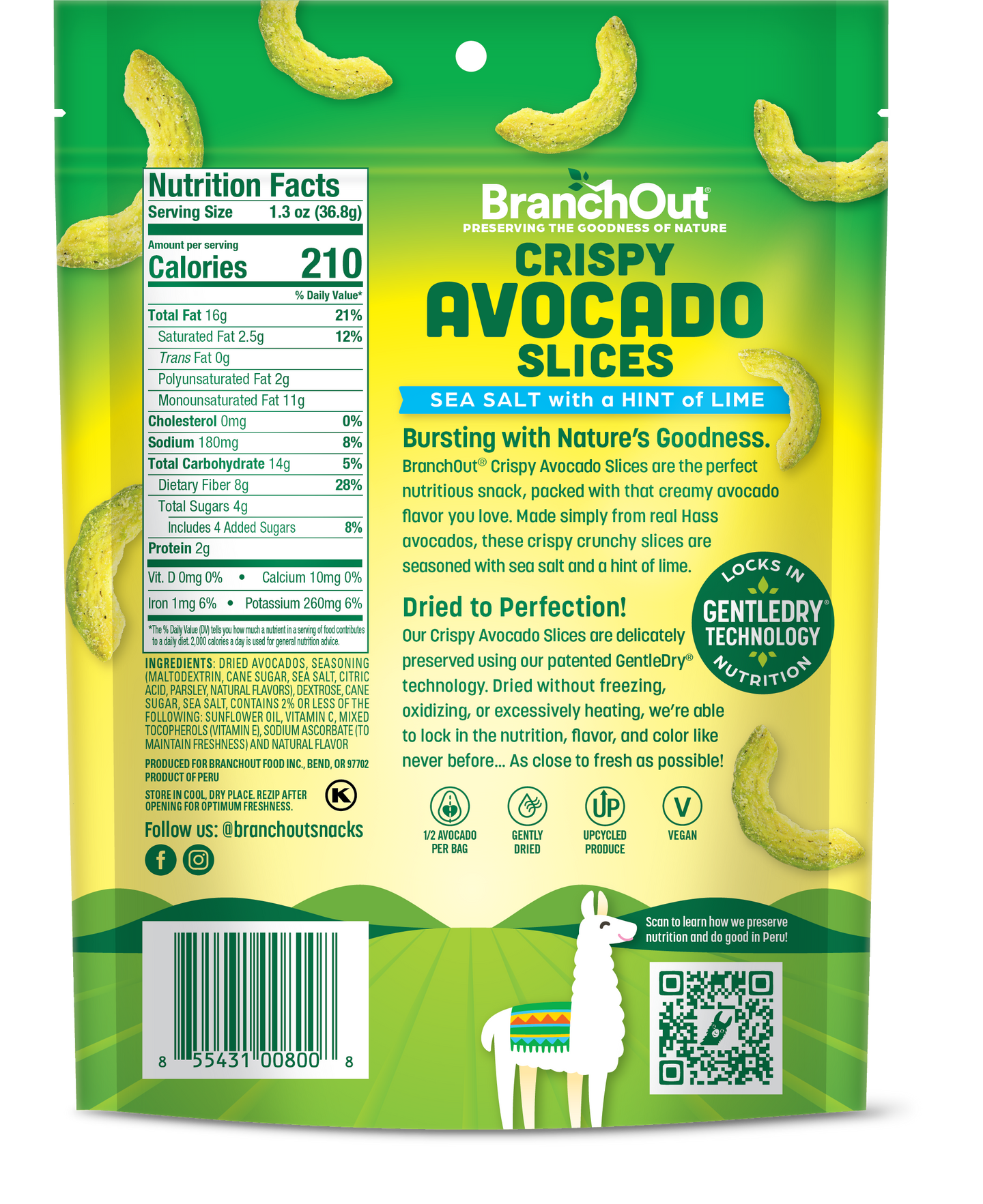 All Snacks – Fruit & Veggie Chips | BranchOut | GentleDry – BranchOut Food