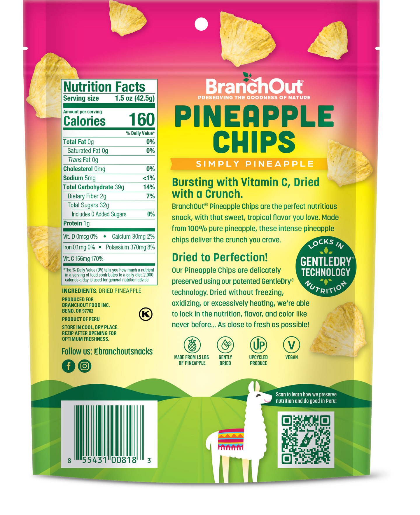 Avocado Chips, Banana Bites & Pineapple Chips by BranchOut – BranchOut Food