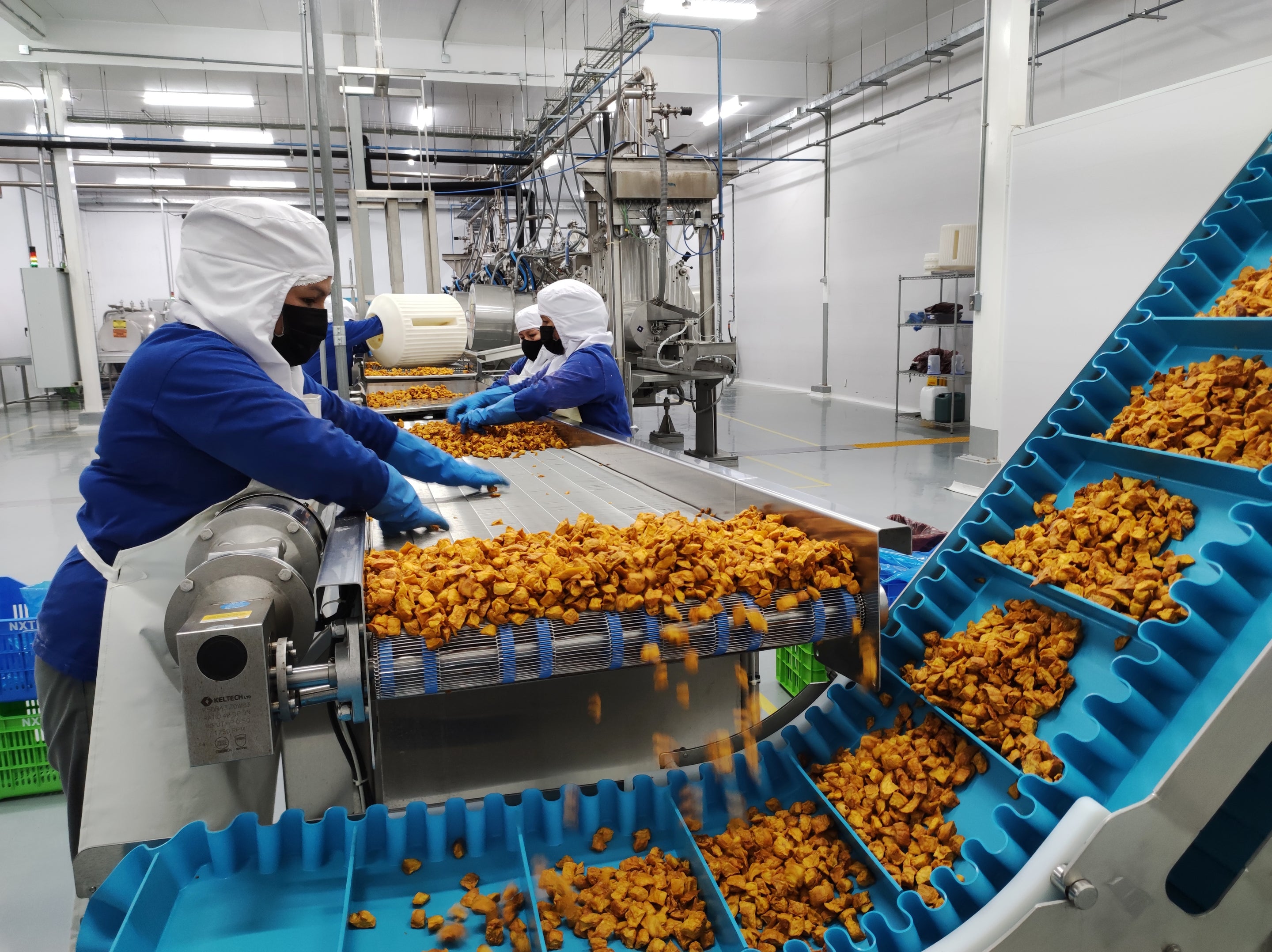 Our Story | From Peru to Your Pantry – BranchOut Snacks – BranchOut Food